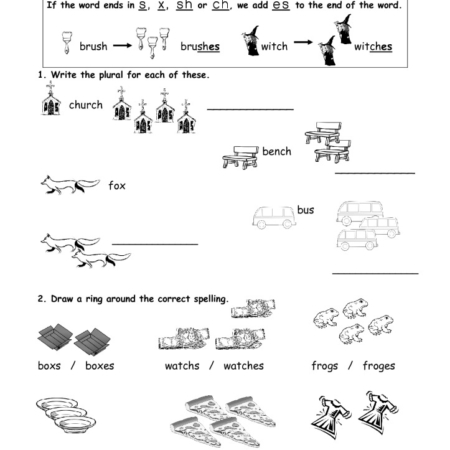 Plurals - More Than One, Adding s - TMK Education