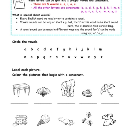 When To Use A or An? - TMK Education