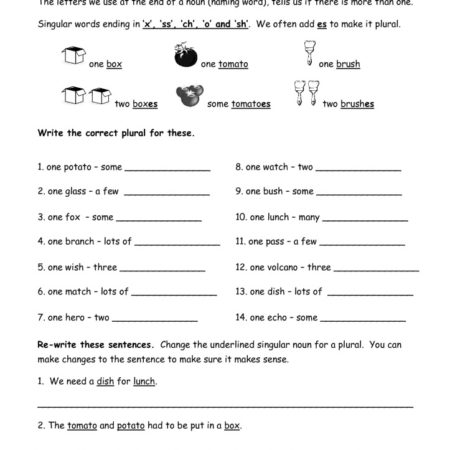 Plurals - Adding ‘ies’ or ‘ves’ to Words - TMK Education