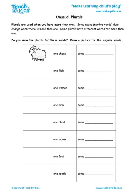 Unusual Plurals - TMK Education